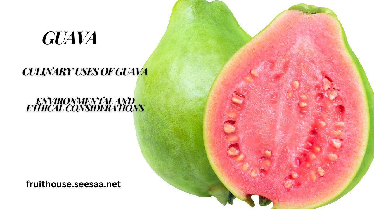 Guava The Nutrient-Rich Tropical Fruit with Versatile Benefits: fruithouse