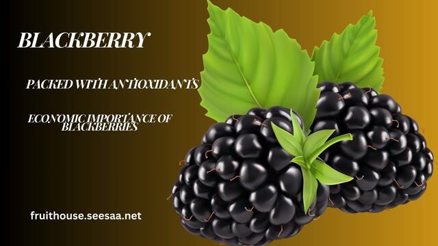 Blackberry The Nutritious and Versatile Berry with a Rich Legacy ...